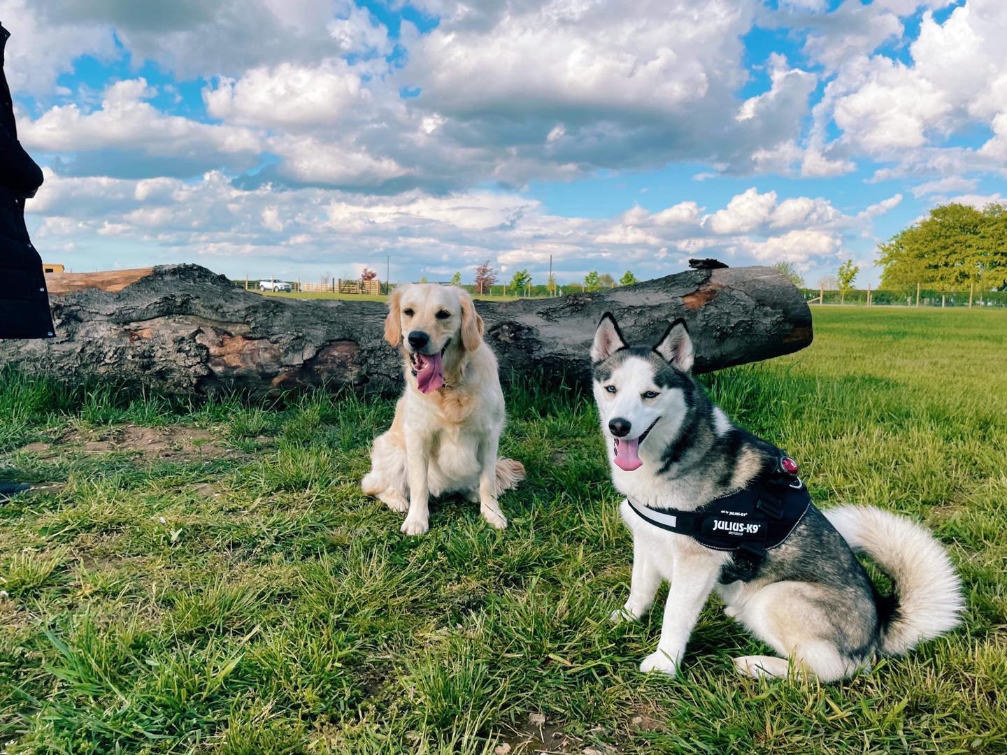 Percys Park - Dog Walking Fields UK