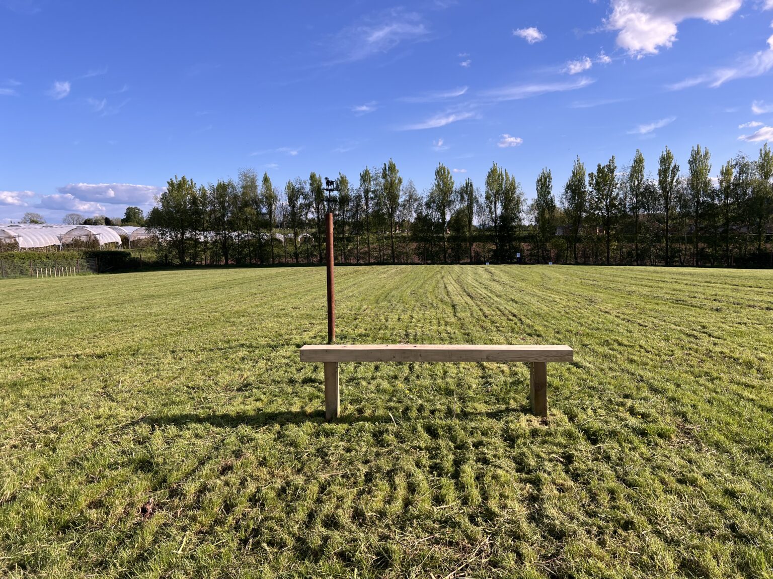 Tillington Fields - Dog Walking Fields UK Tillington Fields - Dog Walking Fields UK